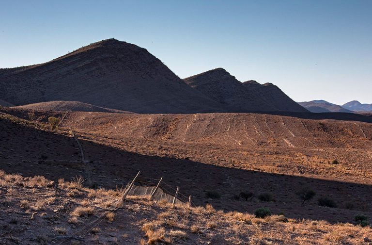 Lifeless Land. - Peter MacDonald Photo