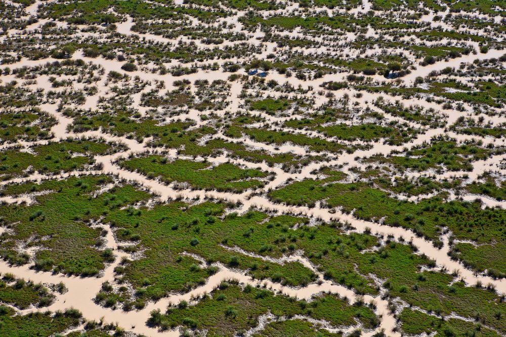 The Deserts - Peter MacDonald Photo