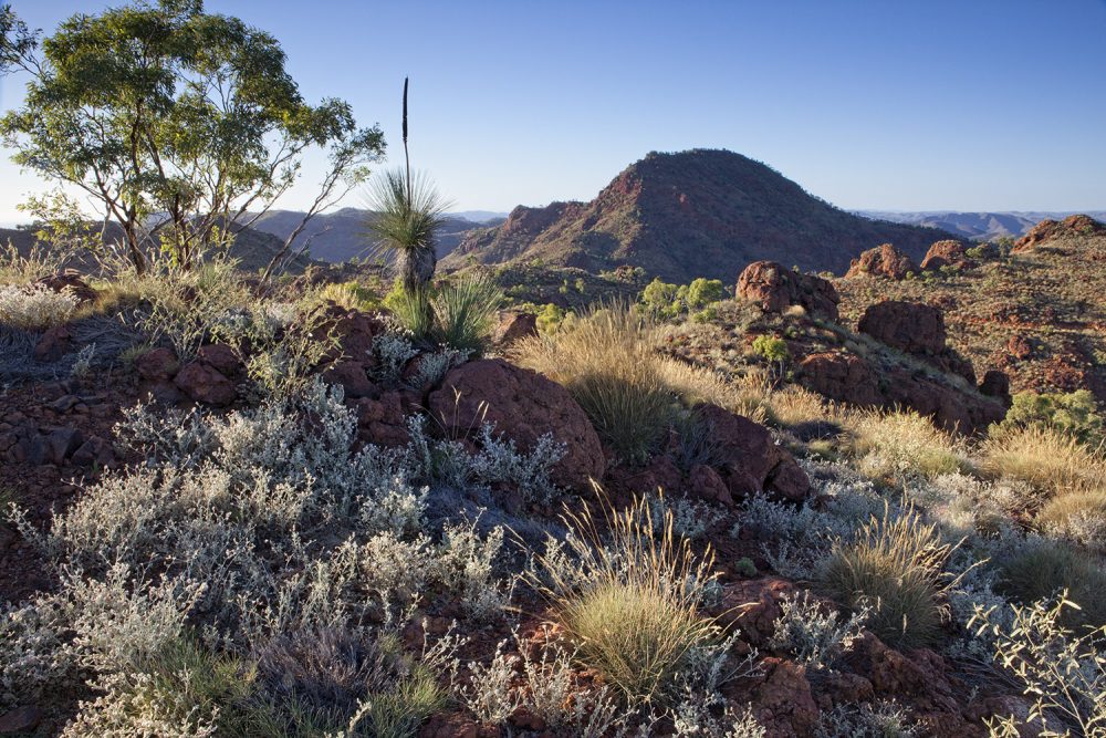 Flinders Ranges - Peter MacDonald Photo